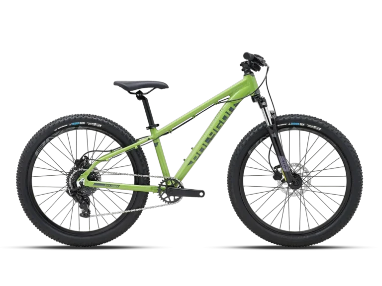 אופני ילדים POLYGON PREMIER 24 HD - ירוק
